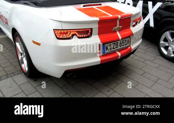 Funny tail Stock Videos & Footage - HD and 4K Video Clips - Alamy