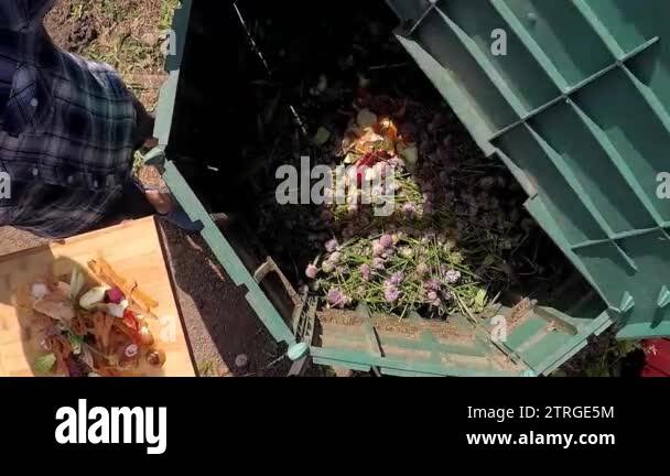 Farmer's hands throwing out kitchen waste to the garden compost heap ...