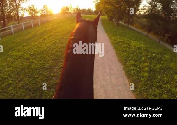FPV, CLOSE UP: Magical and relaxing evening ride on horse ranch ...