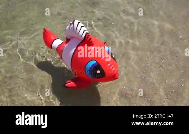 Inflatable fish Stock Videos & Footage - HD and 4K Video Clips - Alamy
