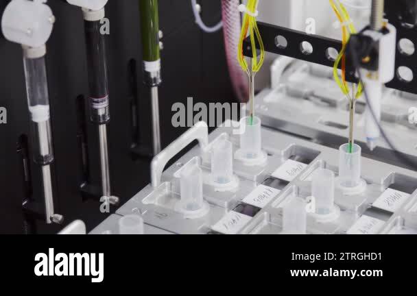 Automated laboratory in technically advanced the clinic is conducting a ...