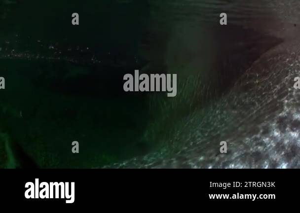 Huge smooth stones and rocks underwater of transparent river Verzasca ...
