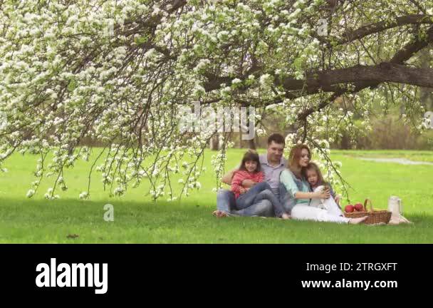 Dad, mom and children are sitting in a meadow under a blossoming apple ...