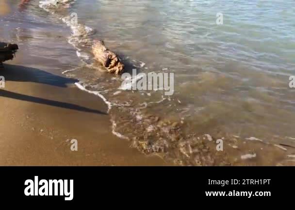 Day float Stock Videos & Footage - HD and 4K Video Clips - Alamy