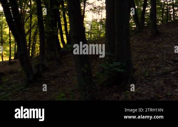 Cortex detail Stock Videos & Footage - HD and 4K Video Clips - Alamy