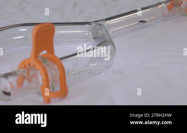 Olfactometer Stock Videos & Footage - HD and 4K Video Clips - Alamy