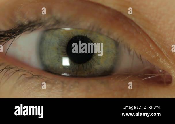 Extreme close up human eye iris in 4K UHD video. Human eye iris ...