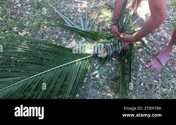 Indigenous Fijian man hands prepare Fijian food Lovo Stock Video ...