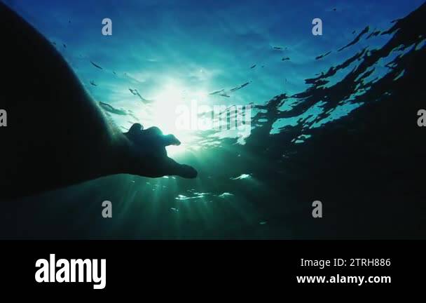 Water cookie Stock Videos & Footage - HD and 4K Video Clips - Alamy