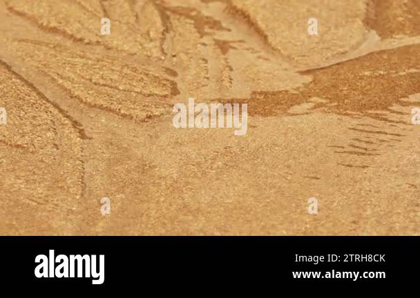 Rapid flowing water stream in fine sand bed carrying sand along ...