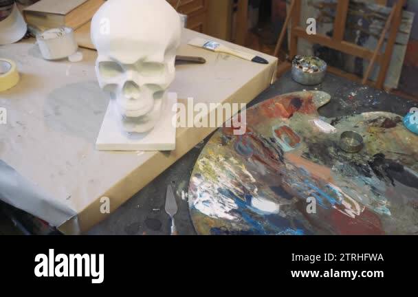 drawing a human skull. The artist draws a sketch of a human skull, from ...