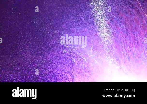 Open air parade Stock Videos & Footage - HD and 4K Video Clips - Alamy