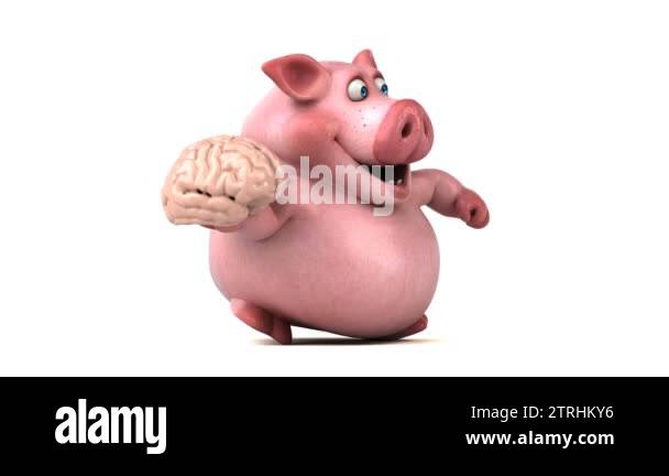 Brain sausage Stock Videos & Footage - HD and 4K Video Clips - Alamy