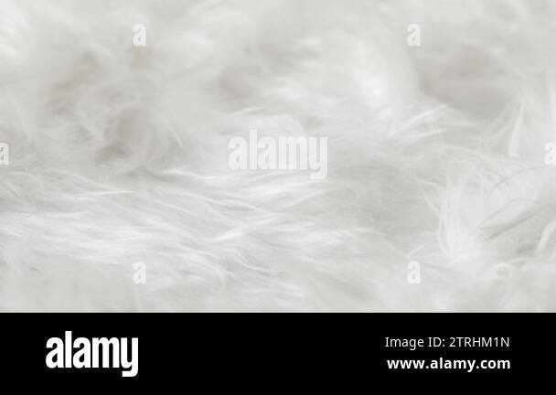 Body parts fabric Stock Videos & Footage - HD and 4K Video Clips - Alamy