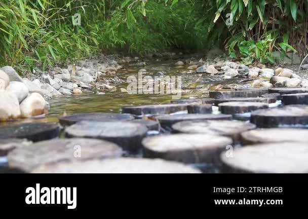 Log crossing Stock Videos & Footage - HD and 4K Video Clips - Alamy