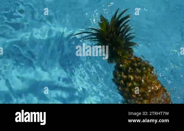 Pineapple Floating In blue Water In Swimming Pool. Healthy Raw Organic ...