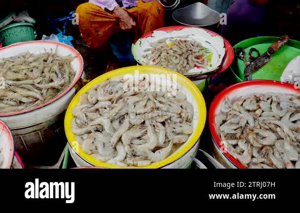 Prawns for sale at the fish market Stock Videos & Footage - HD and 4K ...