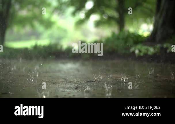 Raining on pathway Stock Videos & Footage - HD and 4K Video Clips - Alamy