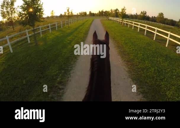 FPV, CLOSE UP: Magical and relaxing evening ride on horse ranch ...
