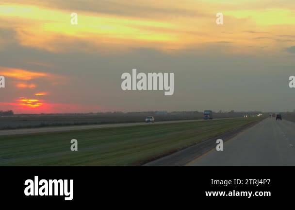 Animal driving transportation Stock Videos & Footage - HD and 4K Video ...