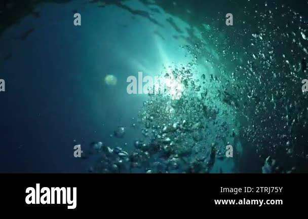 SLOW MOTION UNDERWATER MACRO: Numerous small air bubbles rising up to ...
