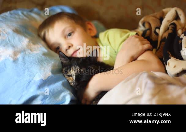 Little boy lying in bed with the cat watching TV Stock Video Footage ...