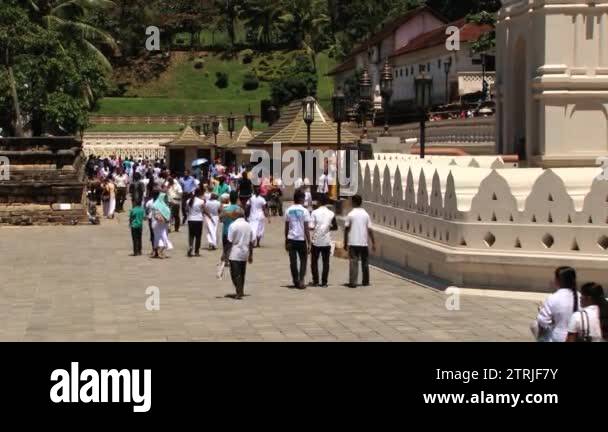 Kingdom of kandy flag Stock Videos & Footage - HD and 4K Video Clips ...