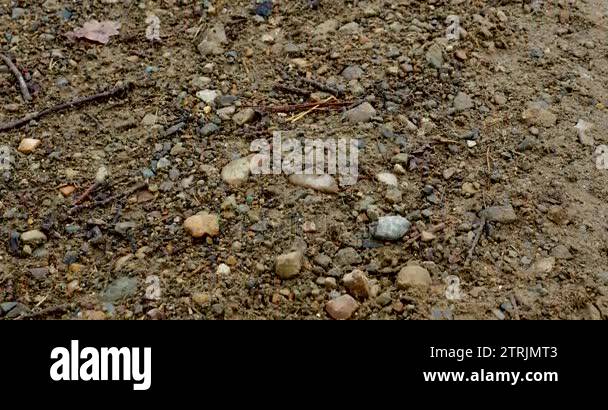 Dirt track background texture close Stock Videos & Footage - HD and 4K ...