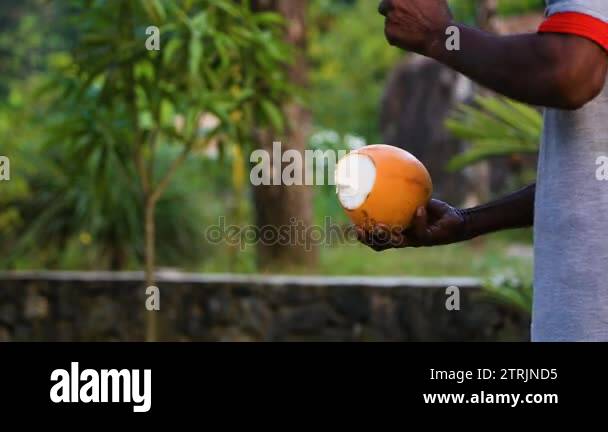 Asian Thai native chef shows how to pinch fresh coconut shell for ...