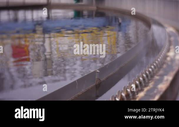 Excursion to Water Treatment Facilities. Overview of the Pool, Tank For ...