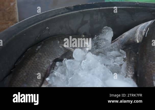 Ice soak Stock Videos & Footage - HD and 4K Video Clips - Alamy