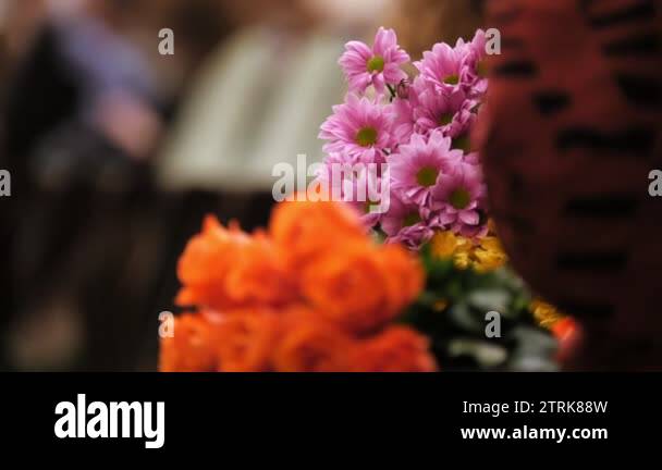 Theater of flowers Stock Videos & Footage - HD and 4K Video Clips - Alamy
