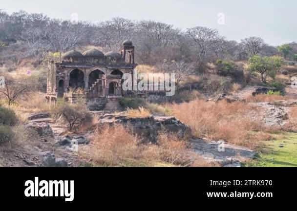 Arched temple ranthambore fort Stock Videos & Footage - HD and 4K Video ...