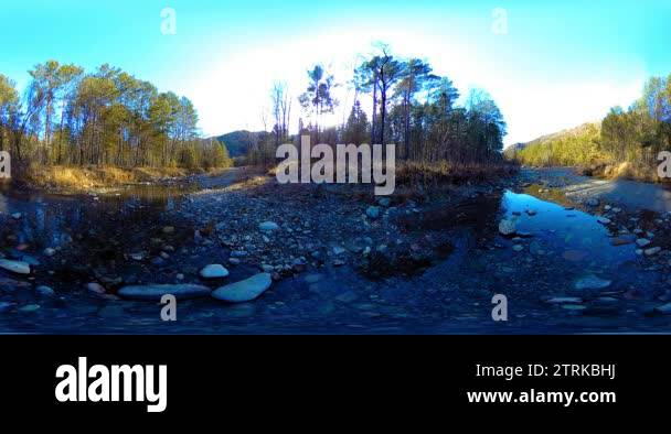 360 VR virtual reality of a wild mountains, pine forest and river flows ...