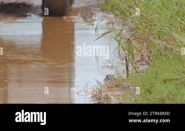 The wheel of road vehicle coming out of a mud hole hazard, mud and ...