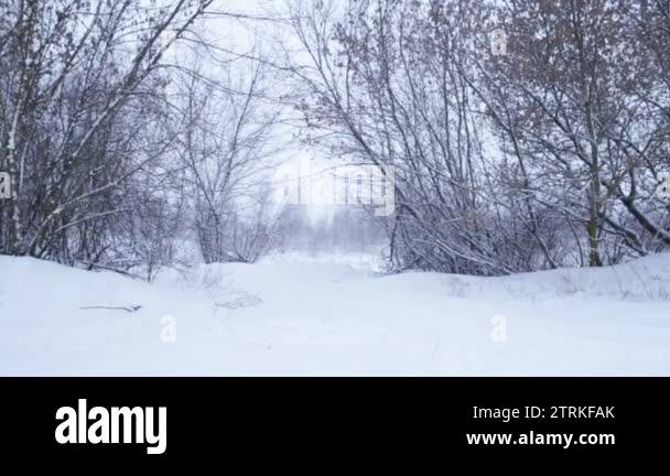 Winter cold horizontal landscape Stock Videos & Footage - HD and 4K ...
