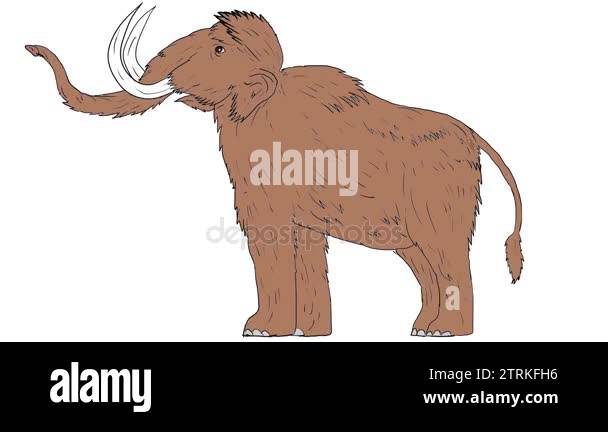 Artwork of the woolly mammoth mammuthus primigenius Stock Videos ...
