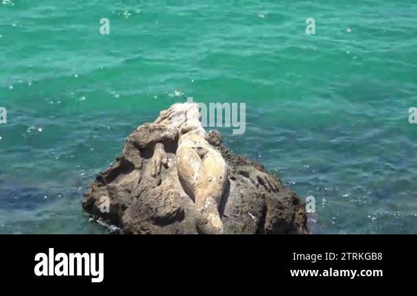 Puglia taranto beach Stock Videos & Footage - HD and 4K Video Clips - Alamy
