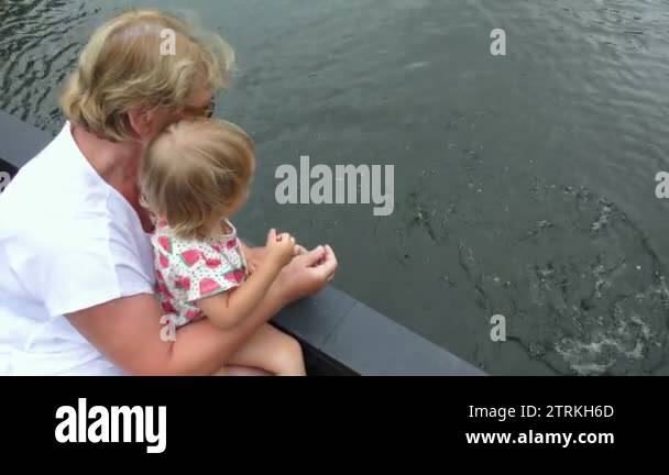 Granny fish Stock Videos & Footage - HD and 4K Video Clips - Alamy