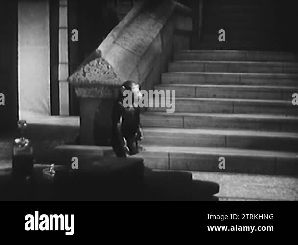 Monkey staircase Stock Videos & Footage - HD and 4K Video Clips - Alamy