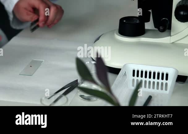 Shot of the student cuting seed that he will put it under the ...