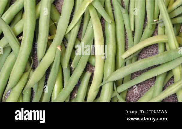Vegetable french beans Stock Videos & Footage - HD and 4K Video Clips ...