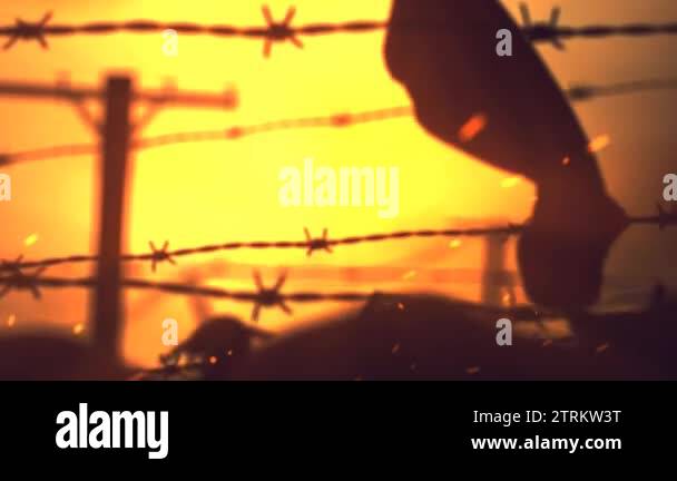 Barbed barbwire wire Stock Videos & Footage - HD and 4K Video Clips - Alamy