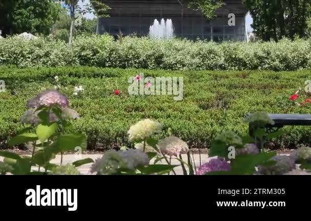 Alexander boulevard Stock Videos & Footage - HD and 4K Video Clips - Alamy