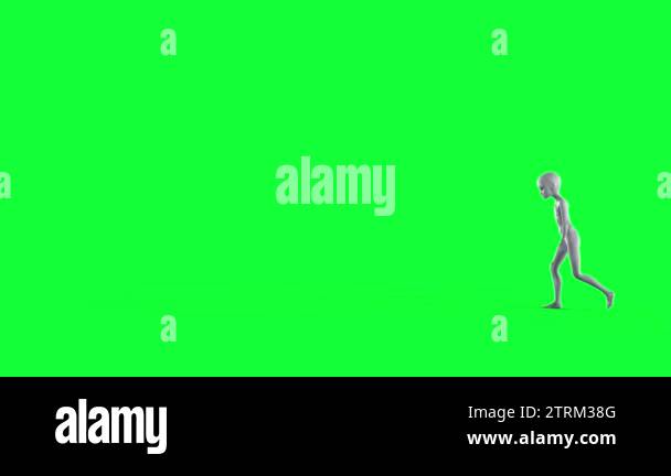 alien walks. realistic 4k green screen animation Stock Video Footage ...