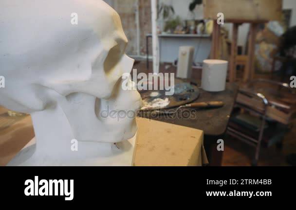 drawing a human skull. The artist draws a sketch of a human skull, from ...