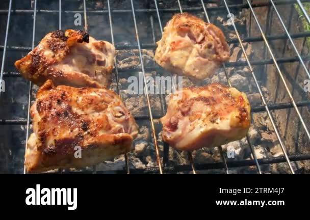 Beautiful tasty food from slice grilled chicken meats, roast on metal ...