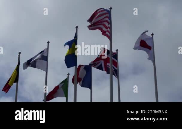 Japan chad flag Stock Videos & Footage - HD and 4K Video Clips - Alamy