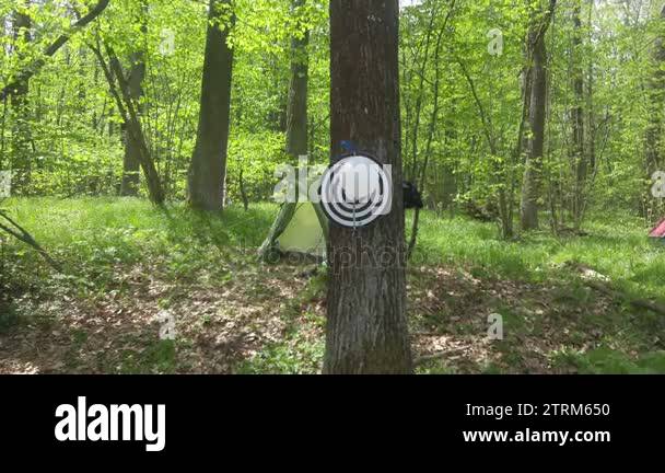 Dart in nature Stock Videos & Footage - HD and 4K Video Clips - Alamy