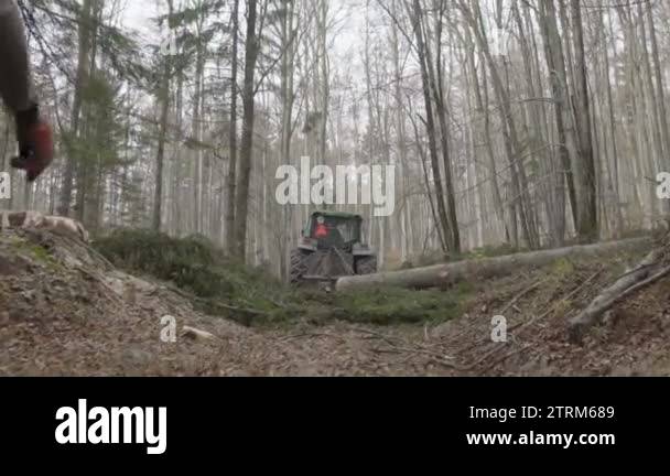 Loggers working Stock Videos & Footage - HD and 4K Video Clips - Alamy